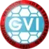 GVI vs Bronshoj BK Live Score | Football