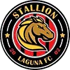 Stallion Laguna FC Live Score | Football