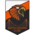 Santa Catarina vs Avai Live Score | Football